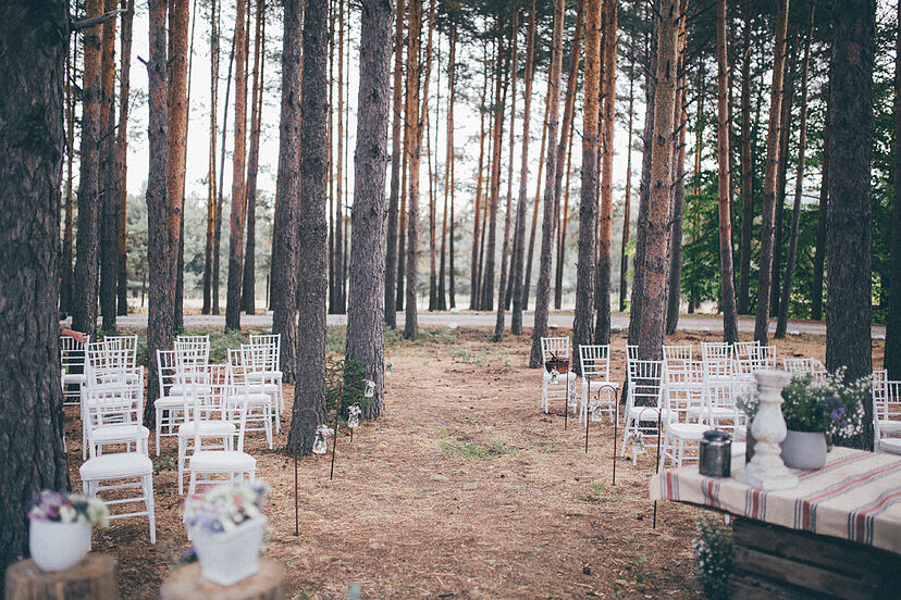 Paquete De Boda En El Bosque Bodas De Ensueño En Noruega | Cásate En